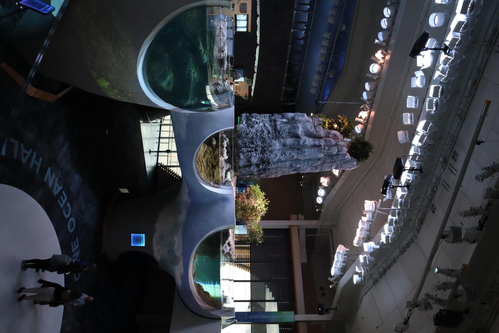 Seattle Aquarium’s Ocean Pavilion Seeks to Connect History with ...