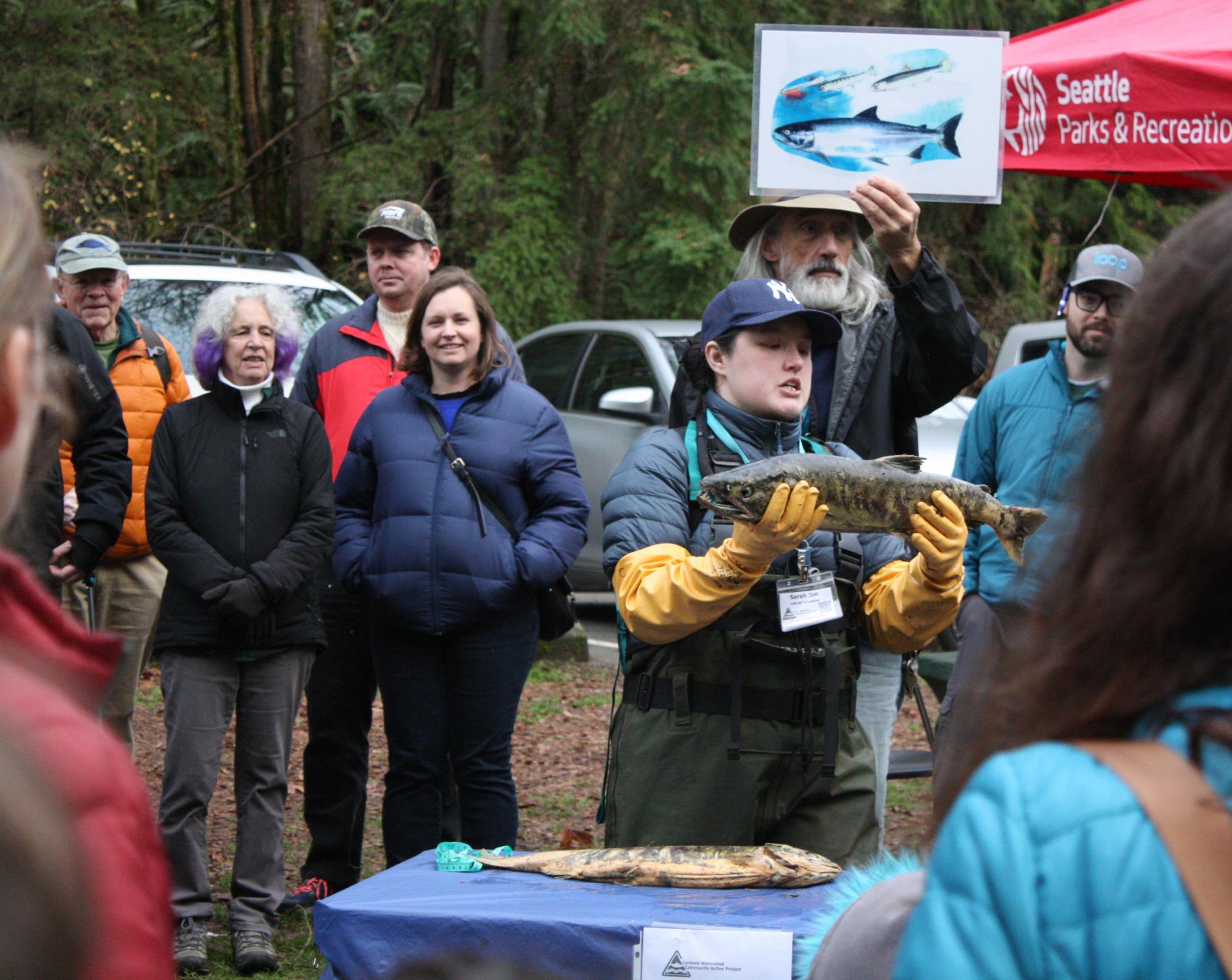 Celebrating Seattle’s Salmon Run with Bert the Salmon! – The Spectator